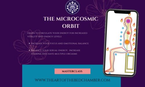 The Microcosmic Orbit – TAOTBC